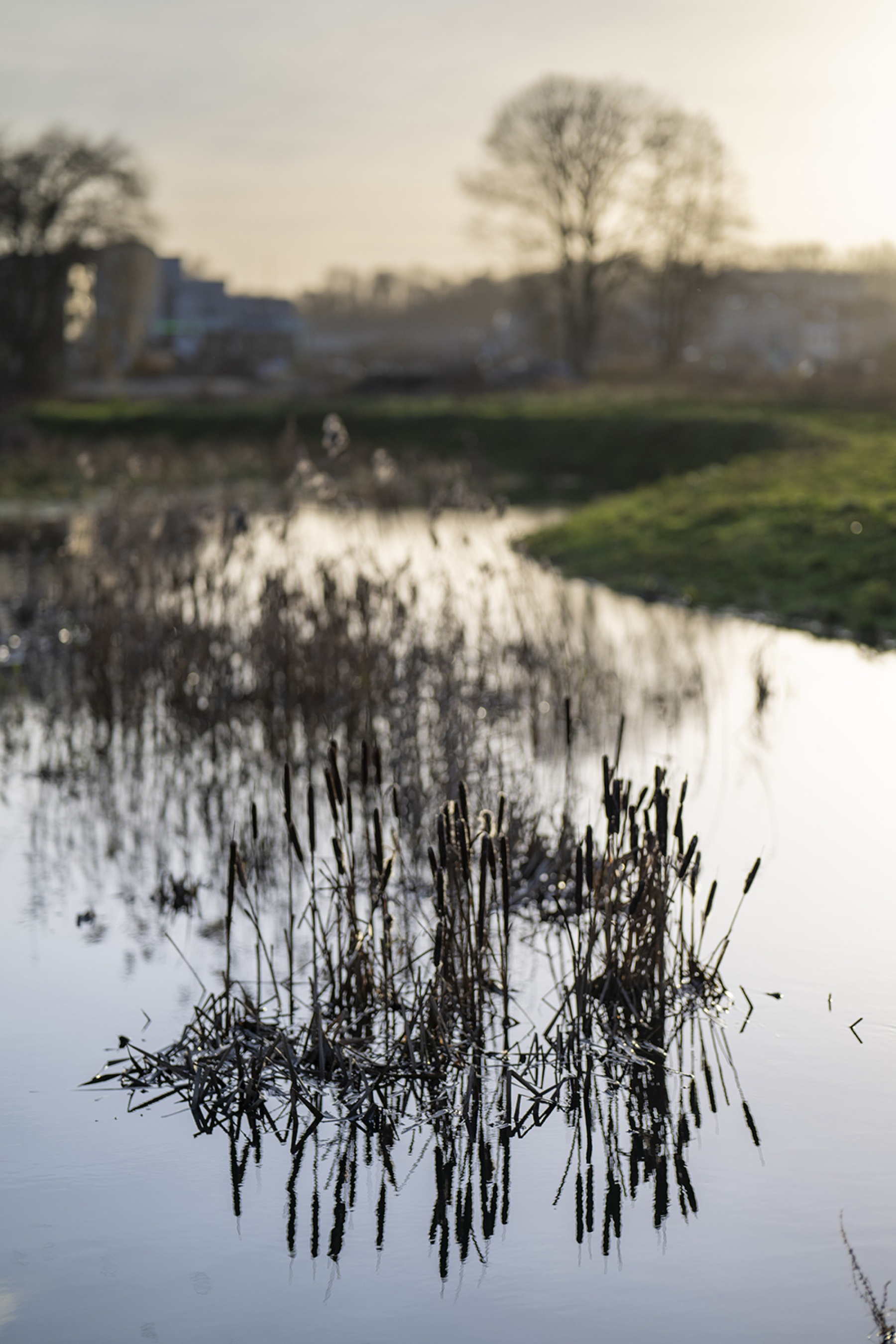 Wandeling doorheen de tijd in Wolvertem | RandKrant