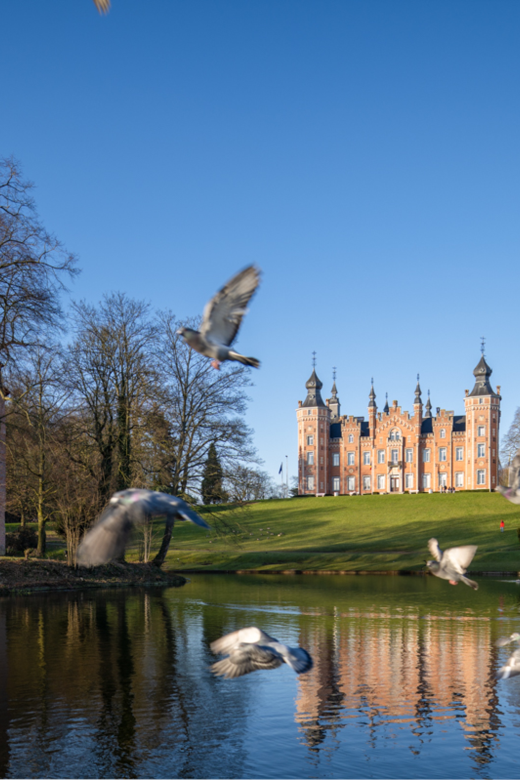 Artikels | RandKrant