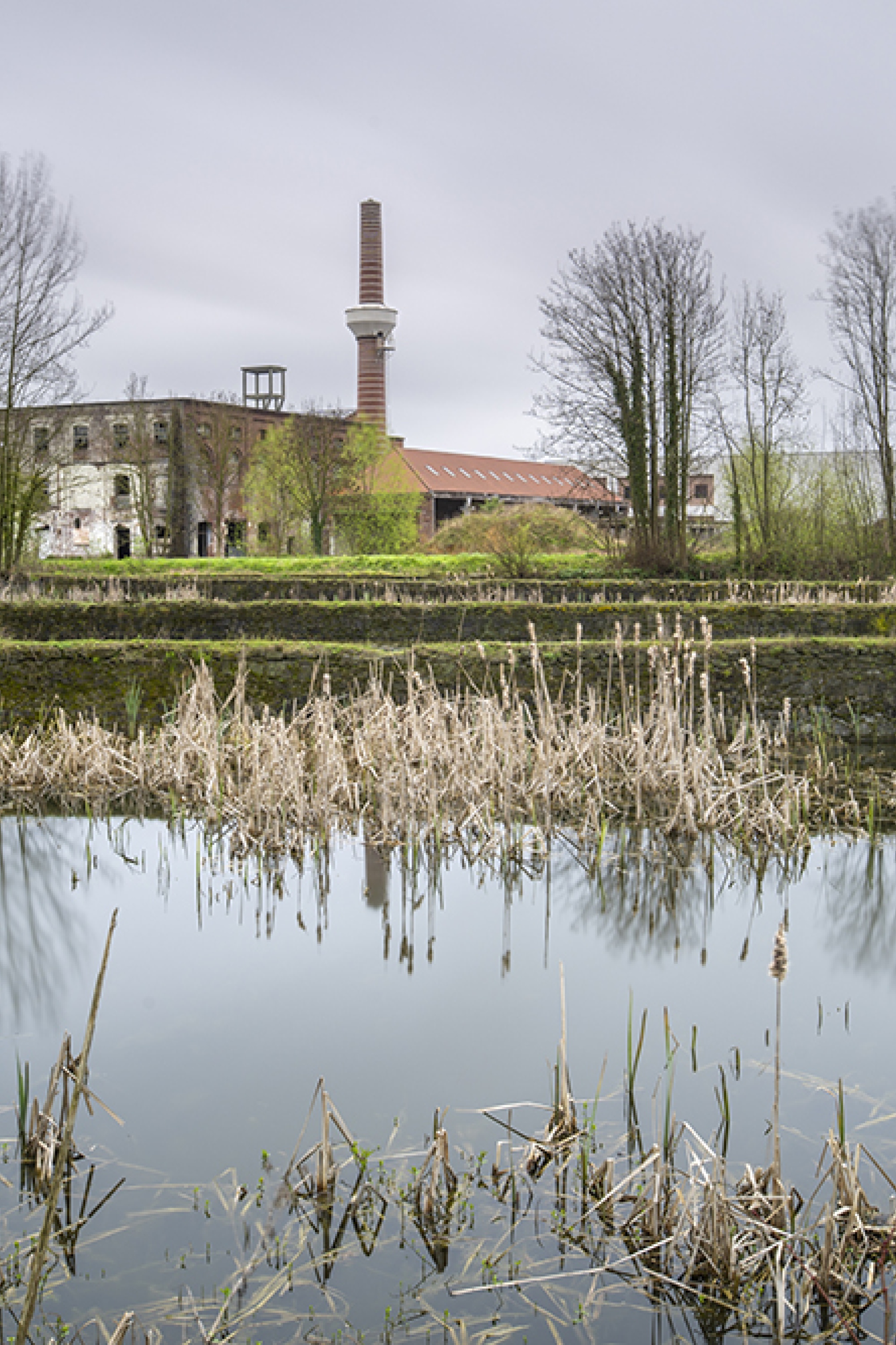 Wandeling doorheen de tijd in Wolvertem | RandKrant
