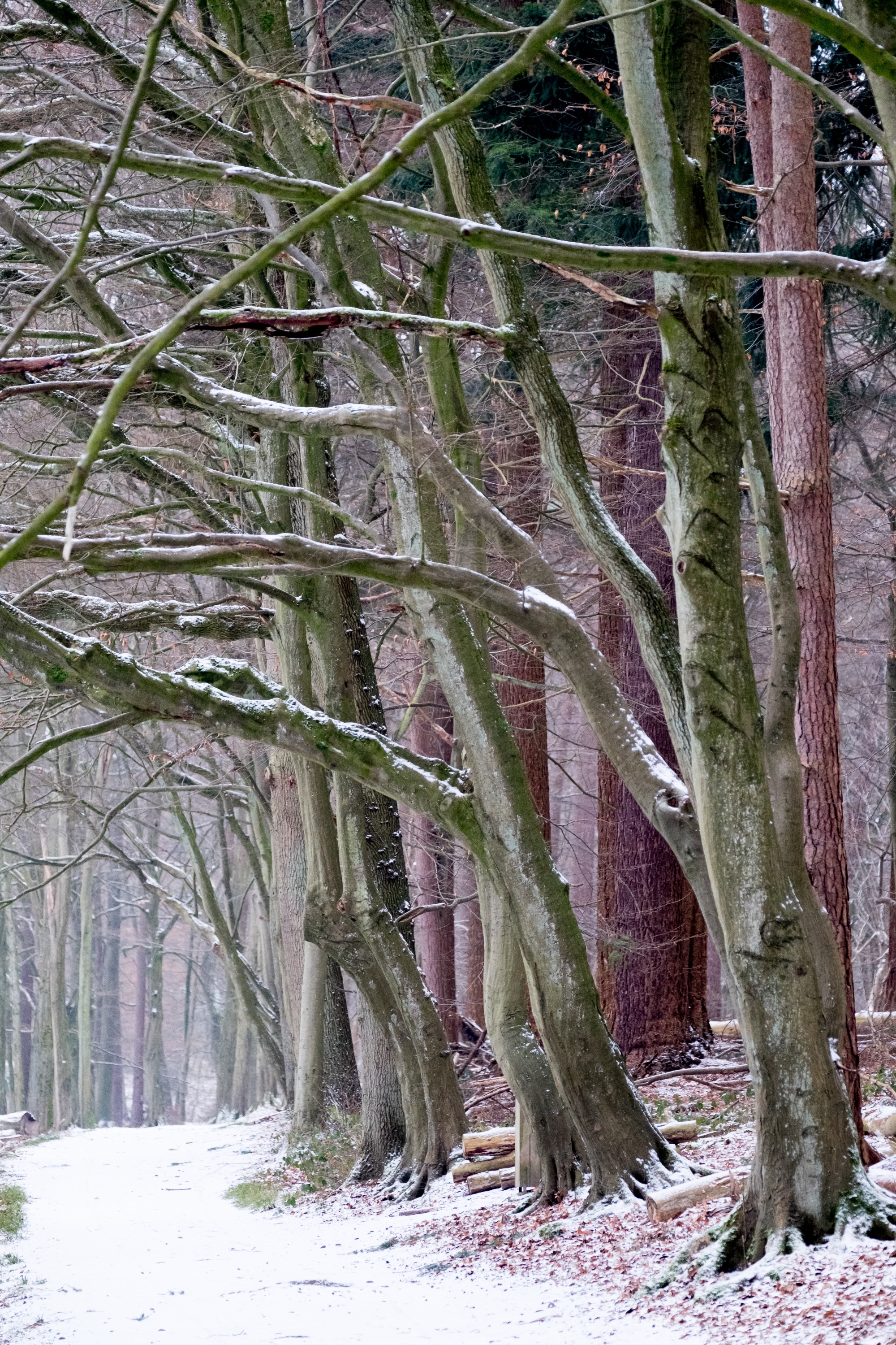 Artikels | RandKrant