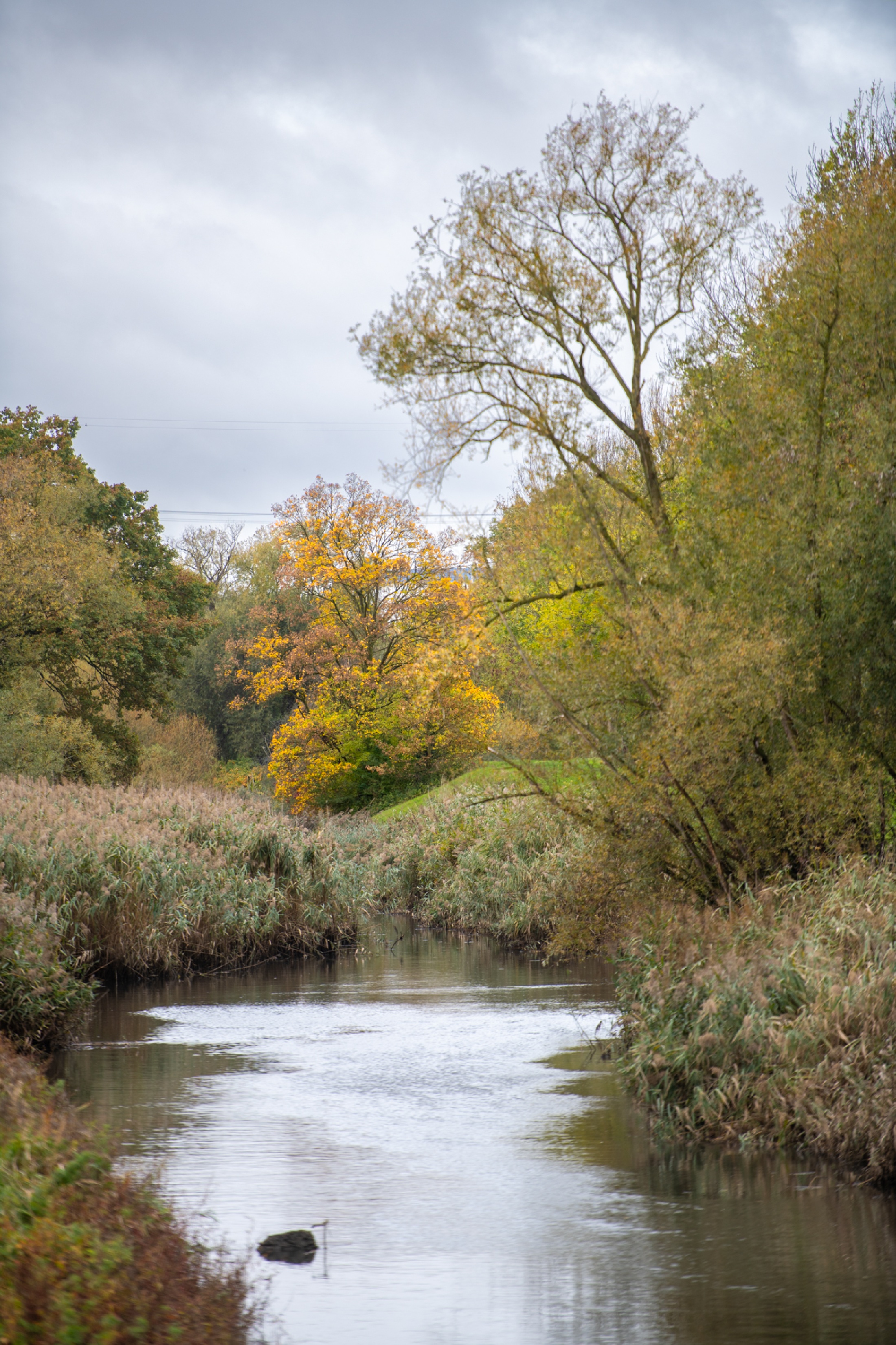 Artikels | RandKrant